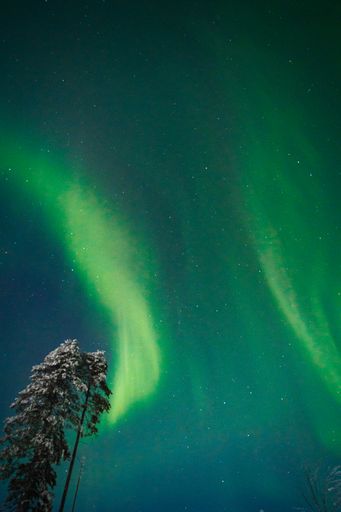 Northern lights in the Stock photo | Wirestock