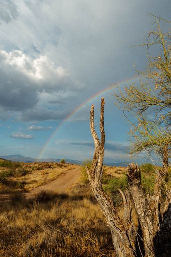 Dykstra_Shots | Mesmerizing view of a golden sunset over mountains
