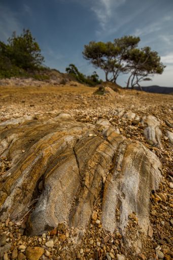 Vertical picture of rocks covered in greenery under the sunlight with a ...