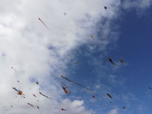 Kevin Daxter | many kites in a row flying in the sky with clouds