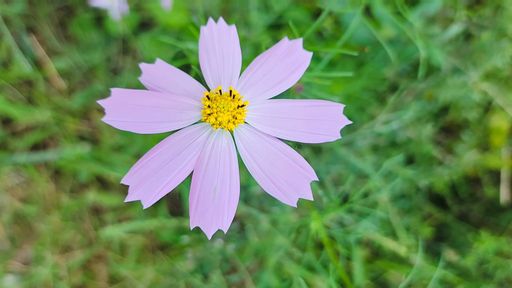 Sutharshan | “Videos” collection on Wirestock